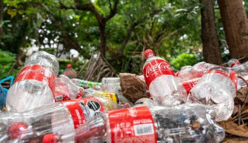 NPSA : la nouvelle initiative de l'Usaid et Coca-Cola pour la gestion ...